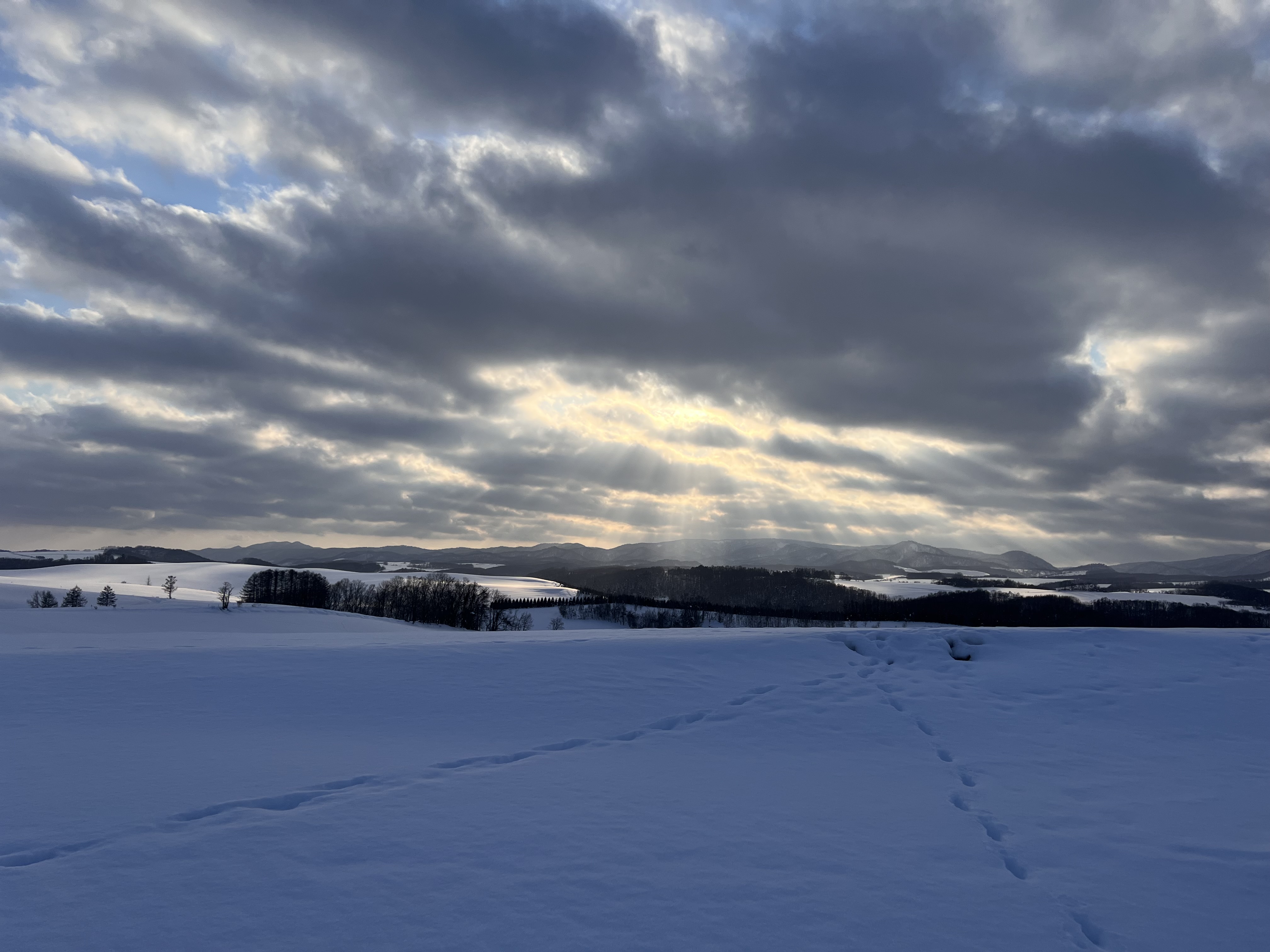 Seonho (Griffin Sunho) Lee – Glanceyes